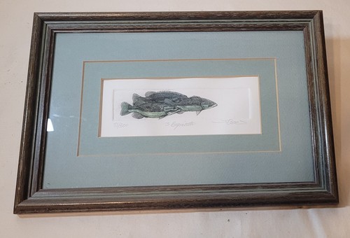 Framed Fish Art Print Signed And Numbered | eBay