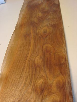 French Walnut Veneer 170 cm by 18 cm (877) | eBay UK