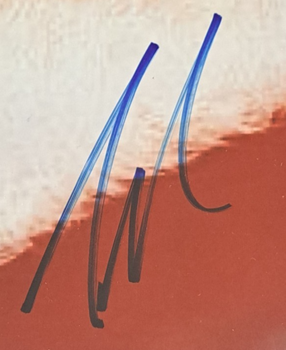 TIM ALLEN SIGNED AUTOGRAPHED 11x17 Santa Claus 2 Movie Poster COA AUTO ...