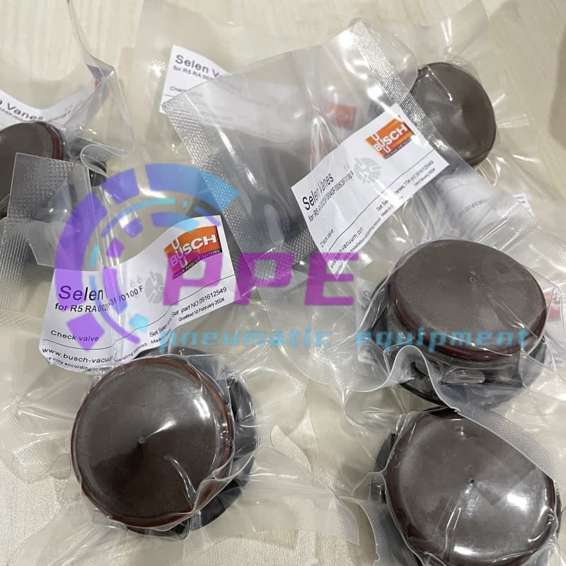 091612549 Check Valve for BUSCH Vacuum Pump R5 RA0025F RA0040F RA0063F ...