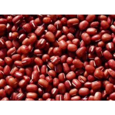 Soup Beans: Small Red Soup Beans Fresh Seed FREE SHIPPING | eBay