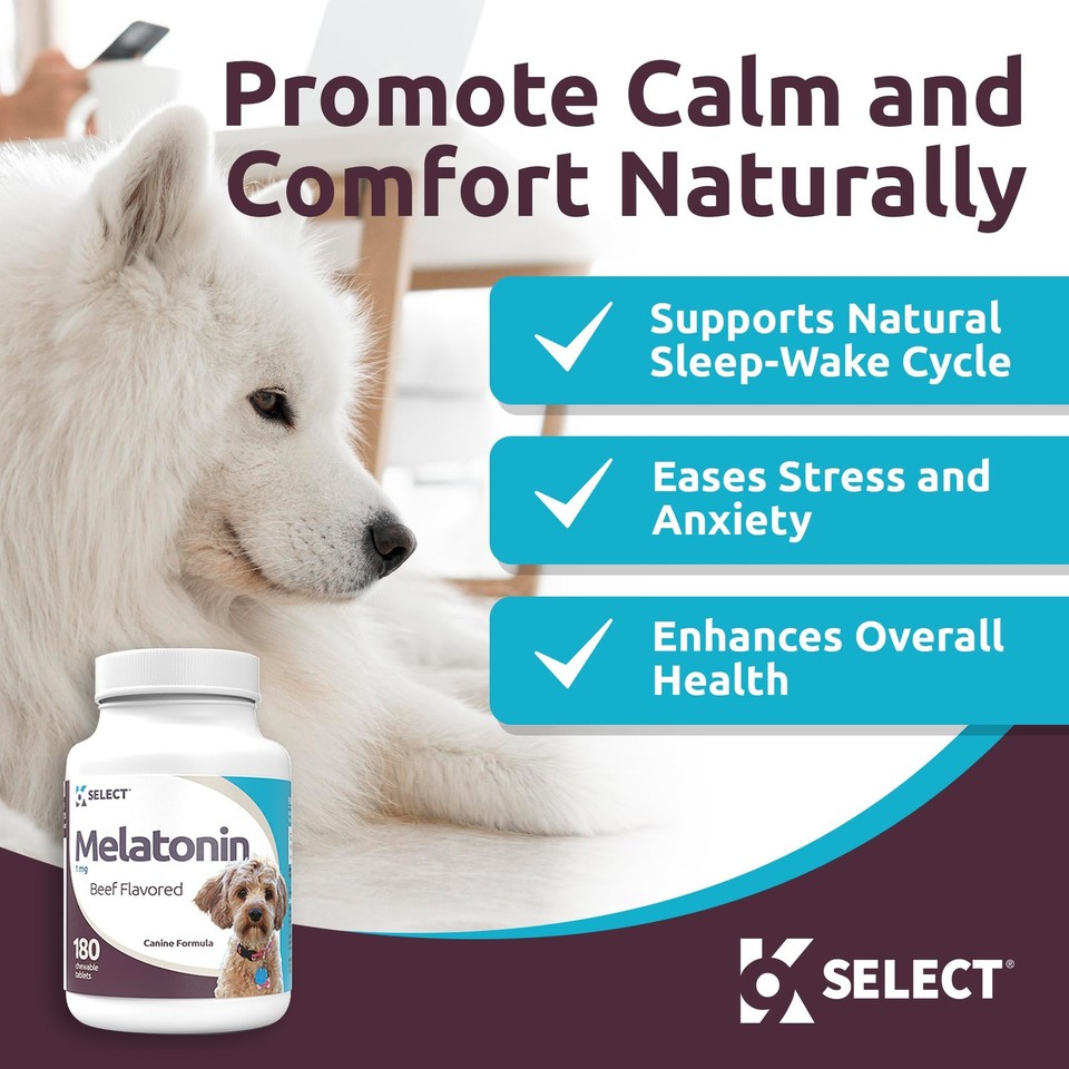 Melatonin for Dogs - Calming Chews - Dog Melatonin for Sleep - Reduce ...