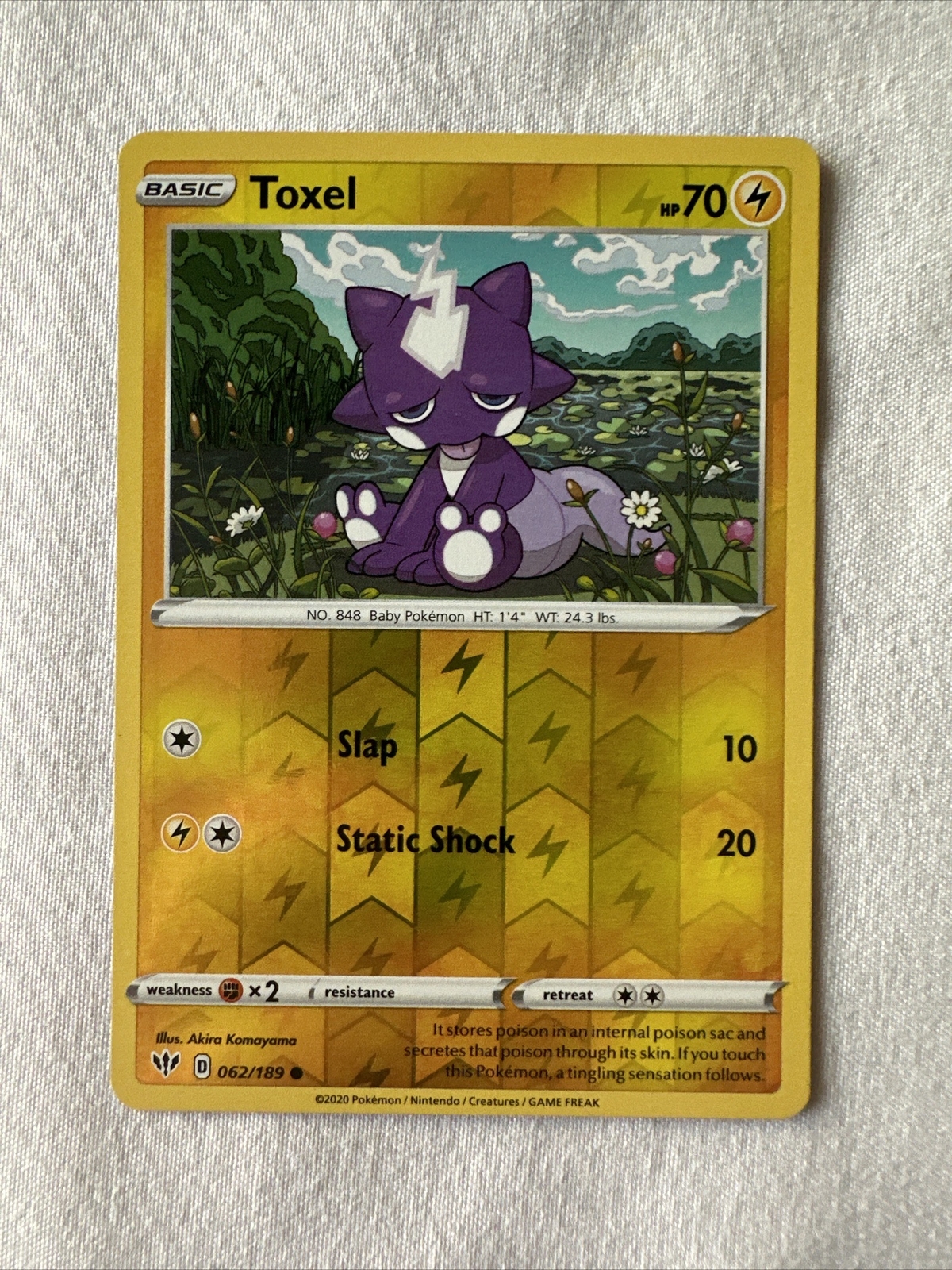 Pokemon Darkness Ablaze Toxel Reverse Holo 62/189 TCG | eBay