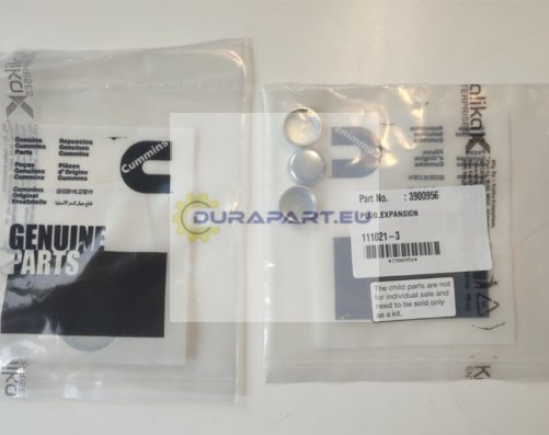 Original Cummins Expansionsstecker 3900956 3er Set | eBay