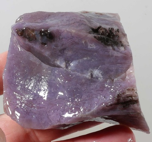 Mexico Royal Aztec Lace Agate lapidary 6.1 oz rough lot F | eBay
