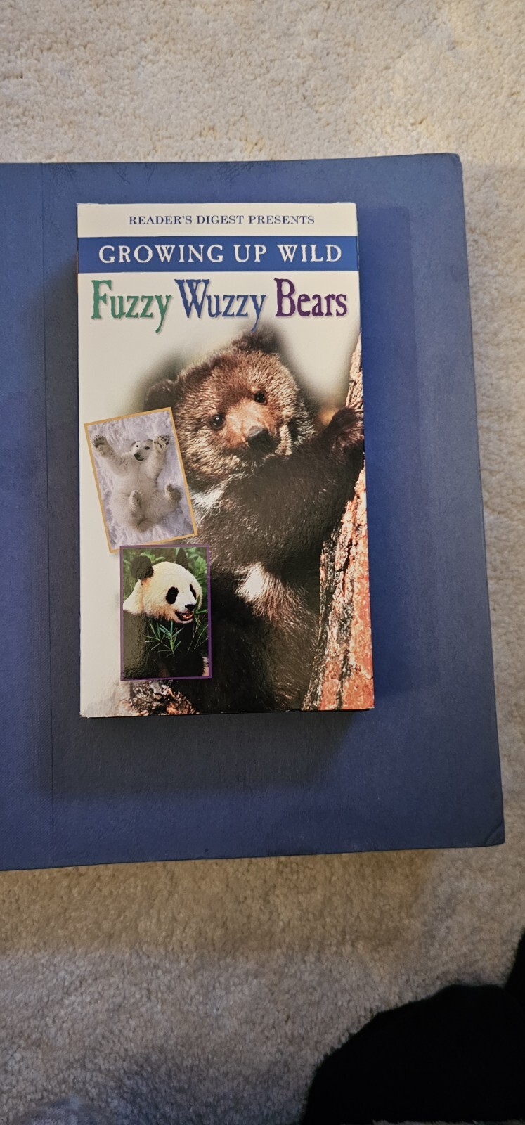 Growing Up Wild Fuzzy Wuzzy Bears Vhs | eBay