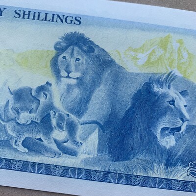 The Lion Familiy Kenya 20 Shillings 1978 Banknote. Kenyan Currency ...