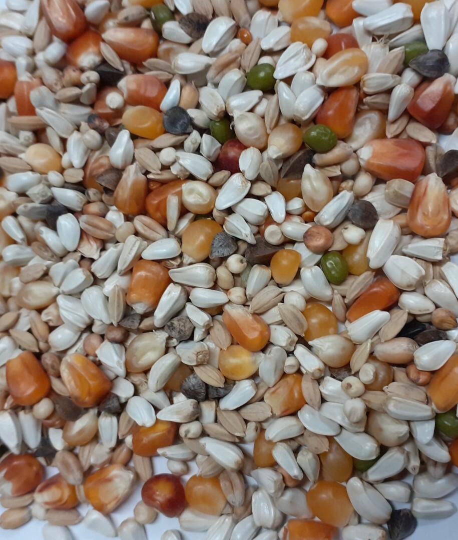 Bamfords Top Flight SuperFly Pigeon Food, Wild Birds 20kg | eBay UK