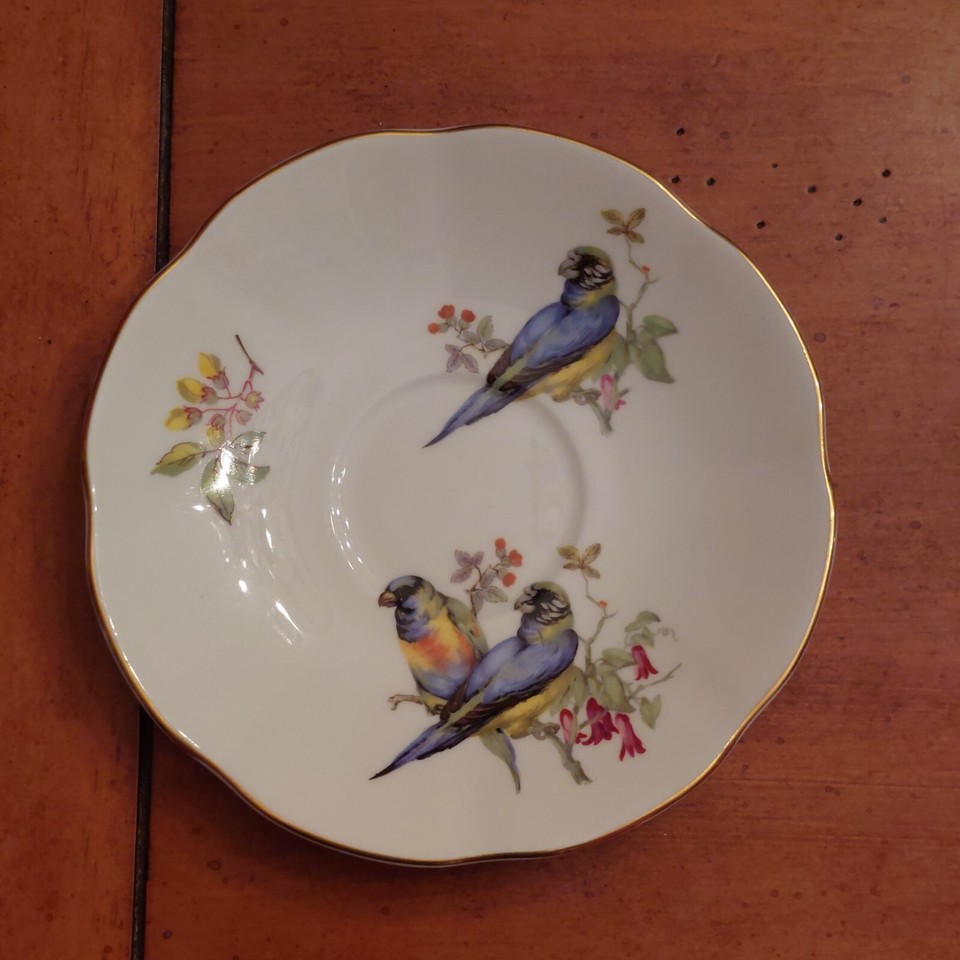 Vintage Royal Dover Bone China Teacup & Saucer, Parrot Birds | eBay