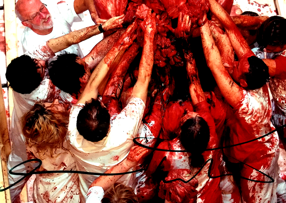 Hermann Nitsch, Hand-Signed, Orgies-Mysteries-Theater, Multiple 20x30 Cm + Frame | eBay UK