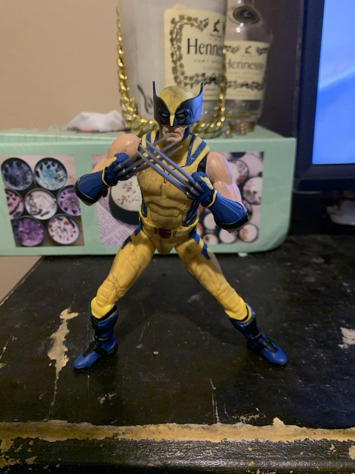 Marvel Legends Deadpool & Wolverine - Wolverine Custom Sleeveless ...