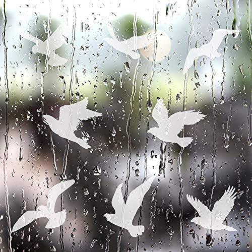 40 Pack Large Anti Collision Window Clings Bird Decals for Prevent Bird ...