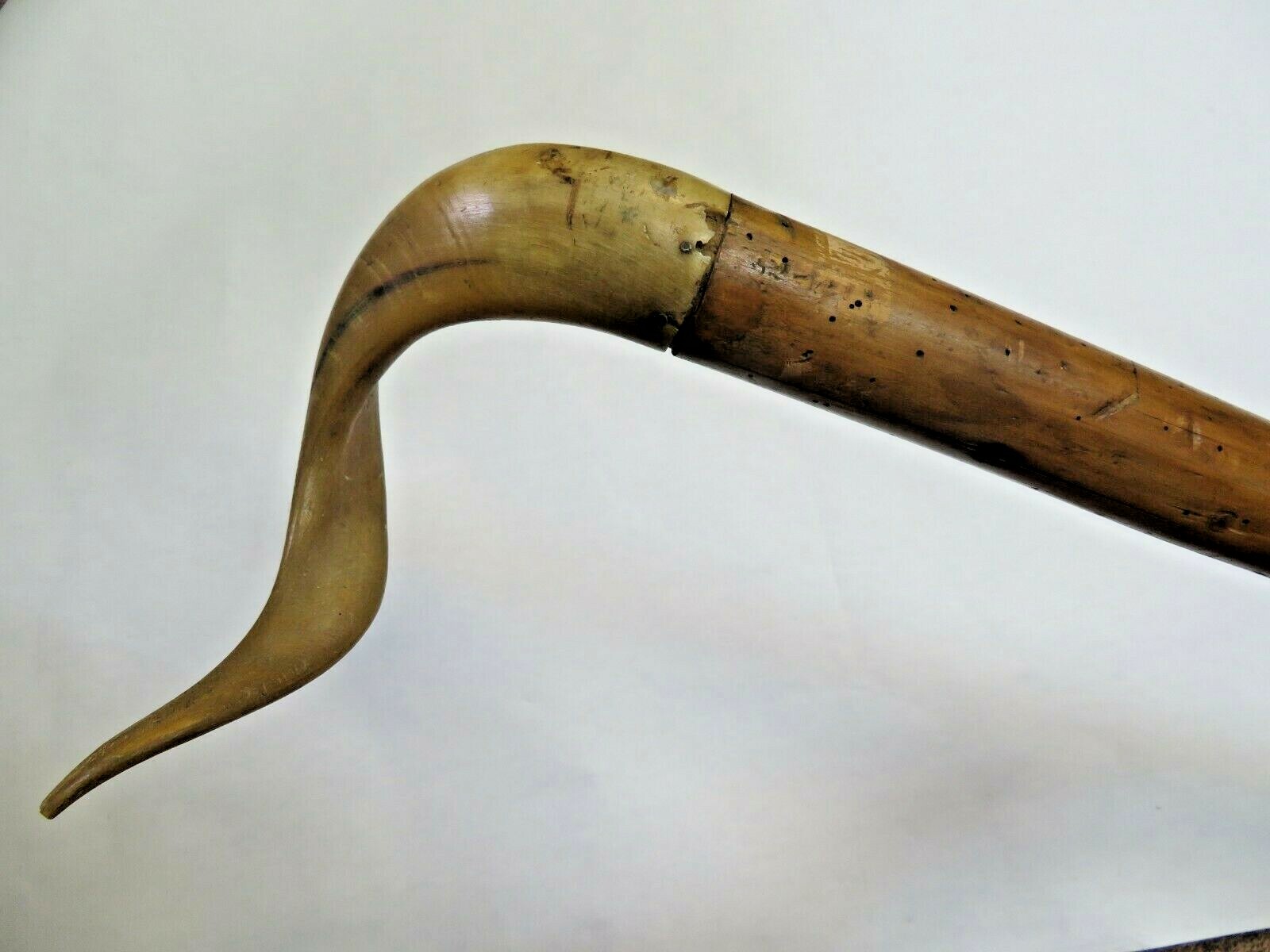 Antique Scottish Ram's Horn Walking Staff c1870's - Gem
