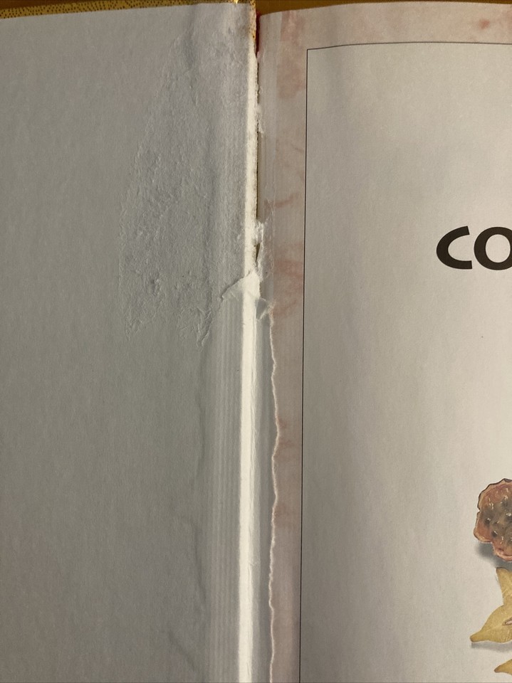 The Kitchen Companion (Your Seasonal Guide to Delicious Recipes) | eBay