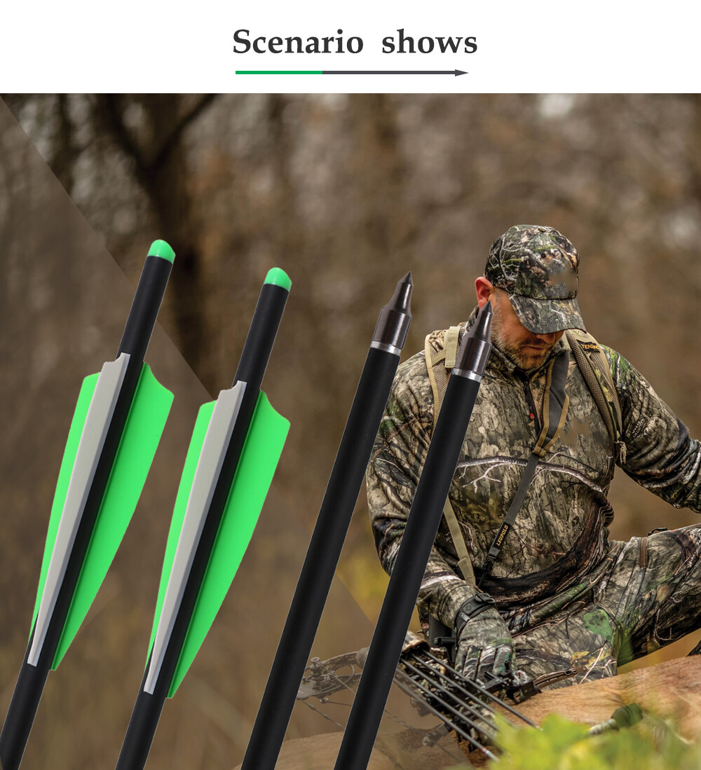 20" Carbon Crossbow Bolts Field Tips 4'' Vane OD 8.8 Crossbow Arrows ...