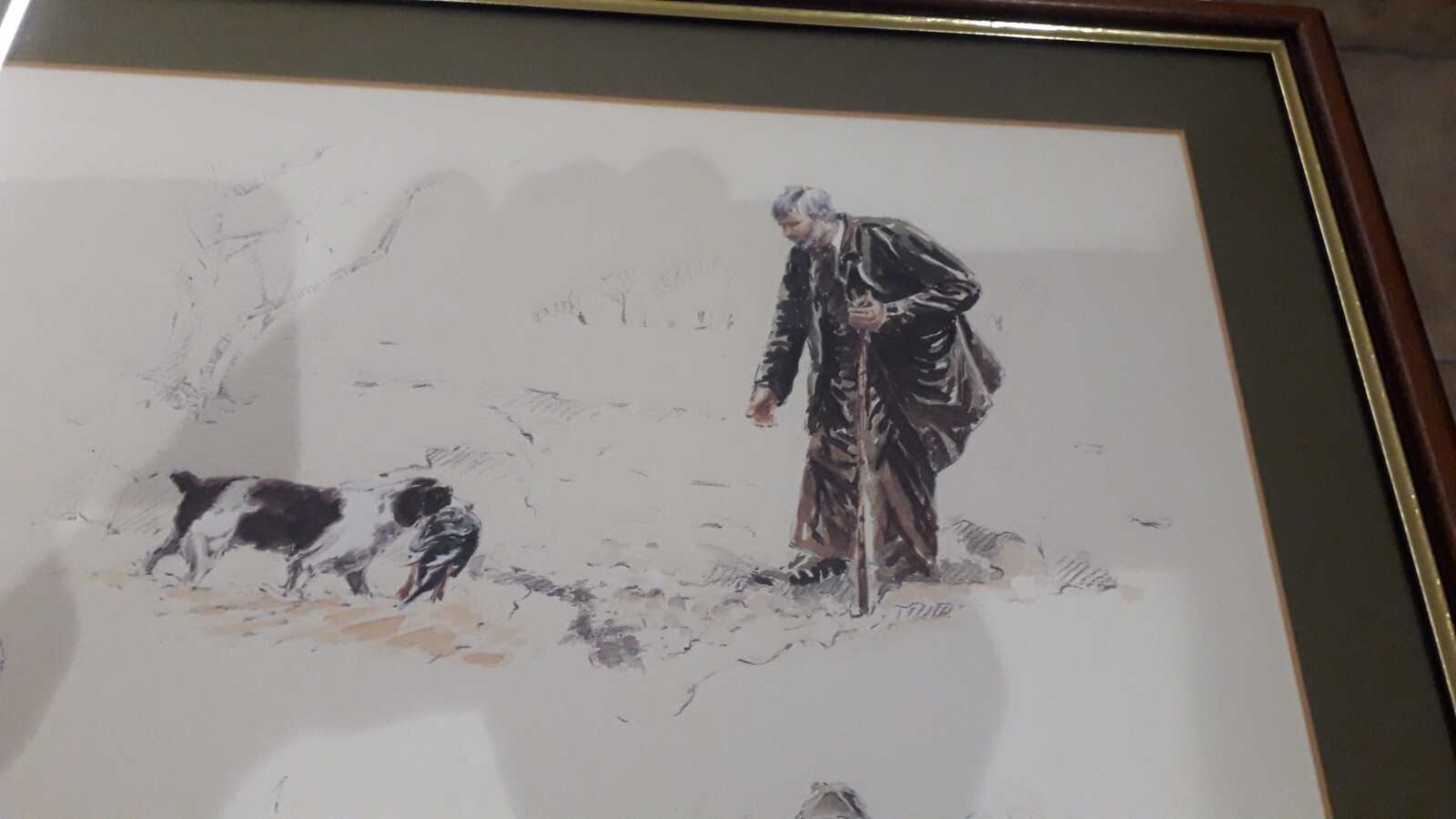 ROS GOODY ORIGIONAL DRAWING SPORTING DOGS BRITISH FIELD SPORT SOCIETY ...