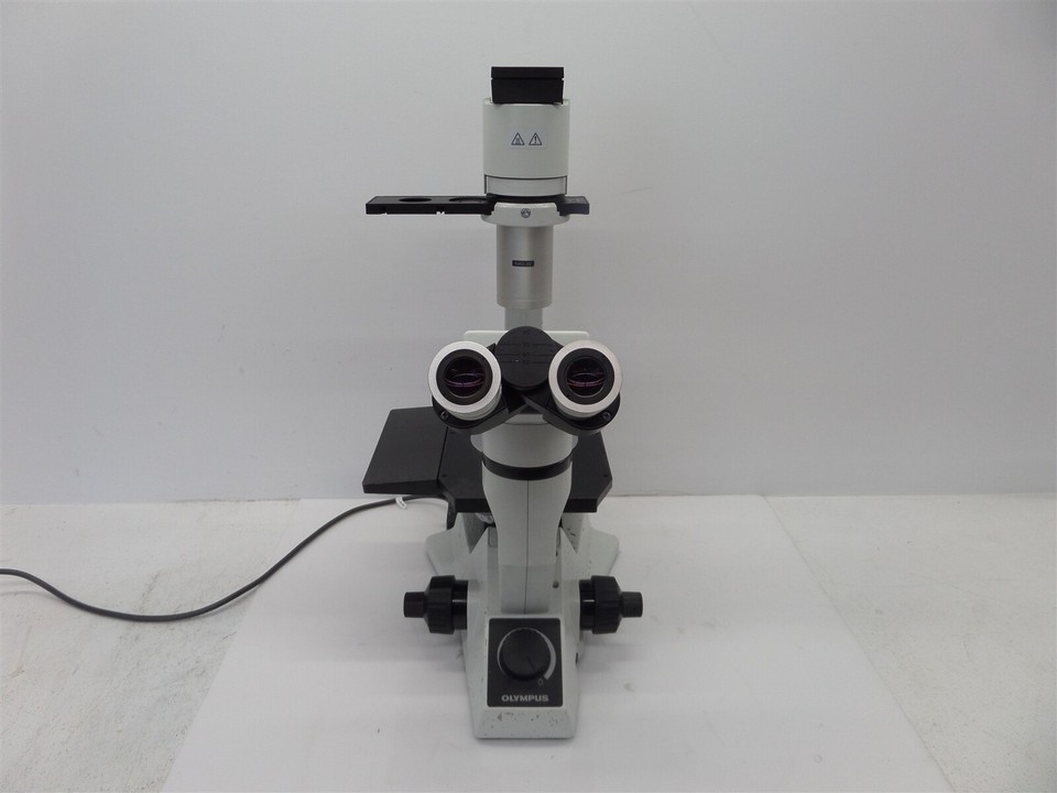 Olympus CKX41 Inverted Phase Contrast Microscope | eBay