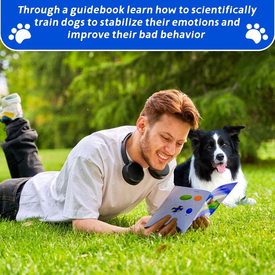 Herding Ball for Dogs, Dual Layered Set for Australian Shepherd, Cattle ...