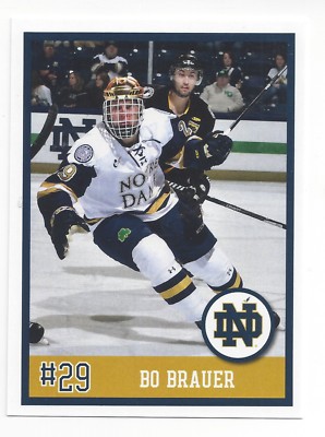 2015-16 Notre Dame Fighting Irish Bo Brauer (Worcester Railers) | eBay