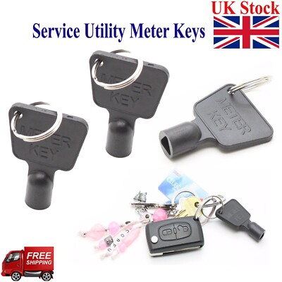 Gas and Electric Meter Utility Service Key Box Cupboard Cabinet ...
