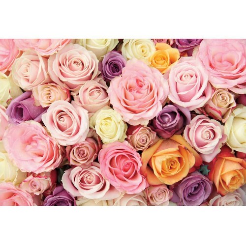 8x6ft Vintage Backdrop for Wedding Background Romance Colorful ...