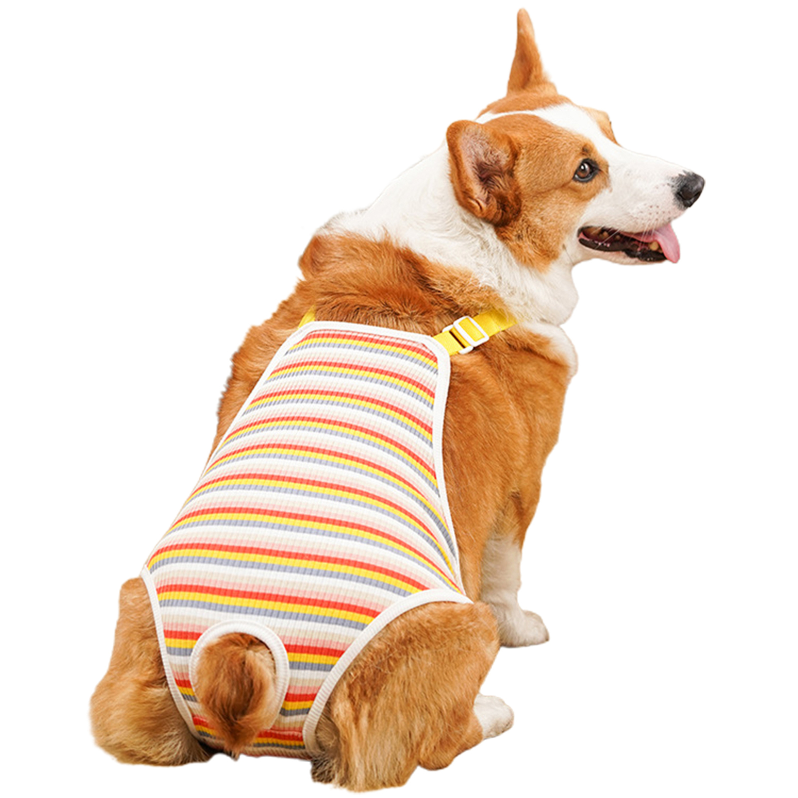 Pet Physiological Pants Tail Opening Anti-seepage Drip Puppy Underwear ...