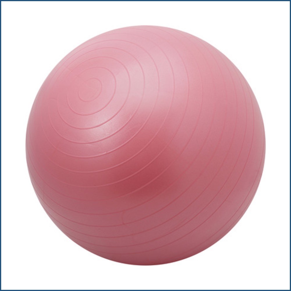 55cm Gym Ball Pink Exercise Fitness Balance, Pilates Inflatable Core ...