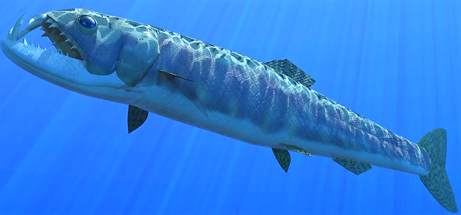 ENCHODUS TOOTH REAL FOSSIL EXTINCT GIANT FISH ANCESTOR SHARK SABERTOOTH ...