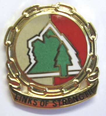 167th SUPPORT BATTALION " Unit Crest" US Army - LINKS OF STRENGTH | eBay