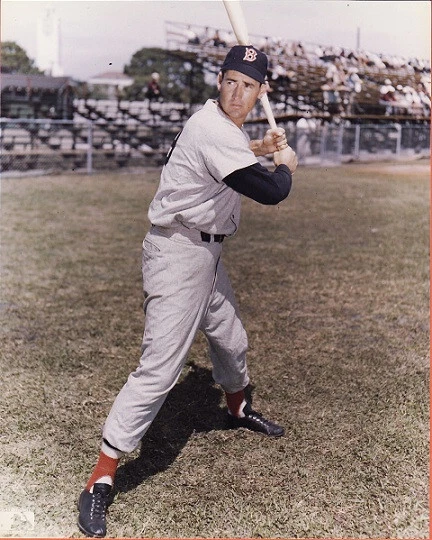 Ted Williams Batting Stance