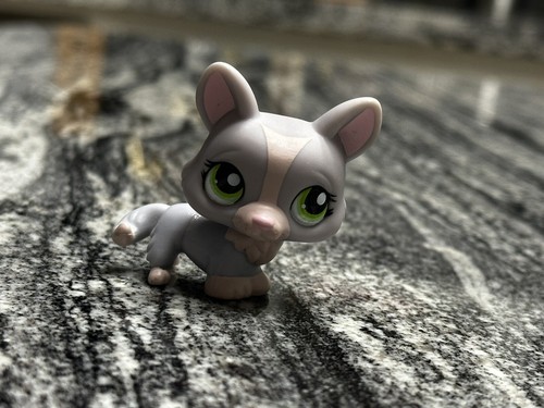 2007 LPS #1486 LITTLEST PETSHOP ORIGINAL AUTHENTIC CORGI DOG | eBay