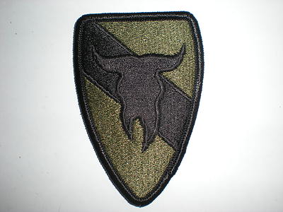 163RD ARMORED CAVALRY REGIMENT PATCH - SUBDUED - BDU | eBay