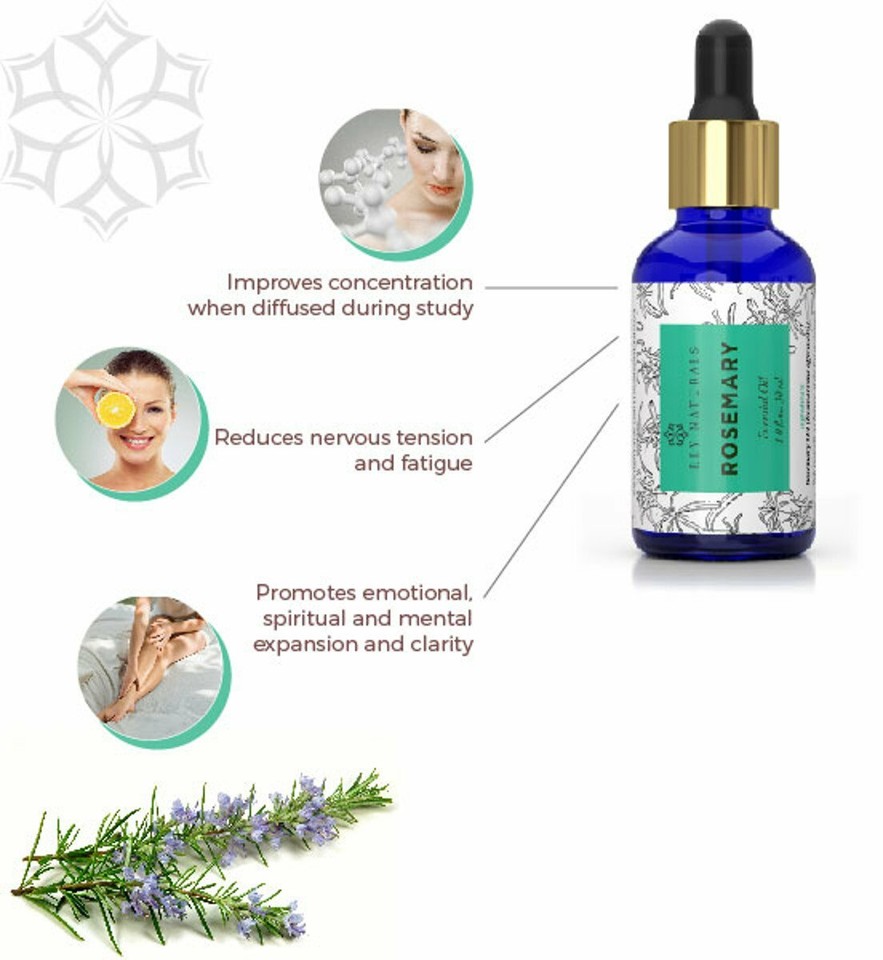 Rey Naturals Rosemary essential oil for hair growth, Skin and Aroma ...