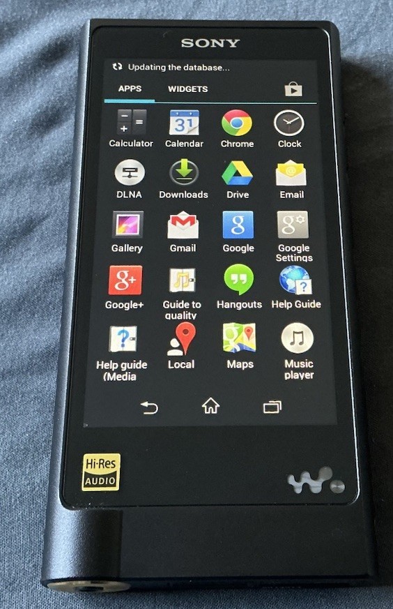 Sony NW-ZX2 Walkman 128GB DAP Digital Audio Music Player High Res | eBay UK