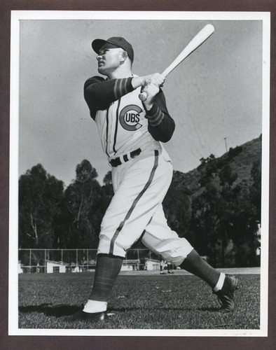 LOU NOVIKOFF 1941-42 Chicago Cubs 8x10 Photo | eBay
