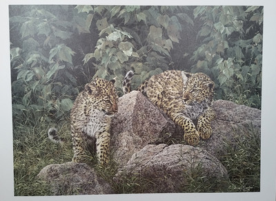 SIMON COMBES, Leopard Cubs S/N Print | eBay