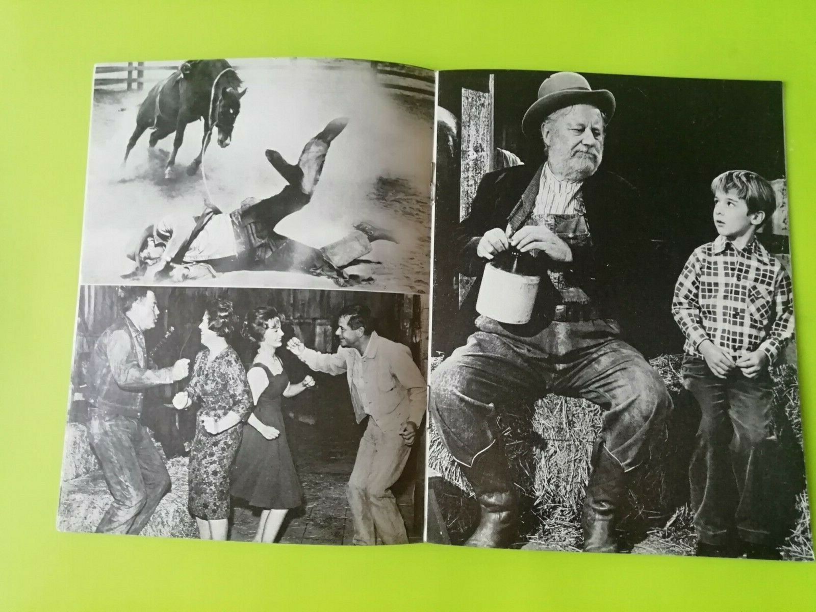 Vintage Danish Film Program. "The Rounders" Glenn Ford.Henry Fonda. | eBay