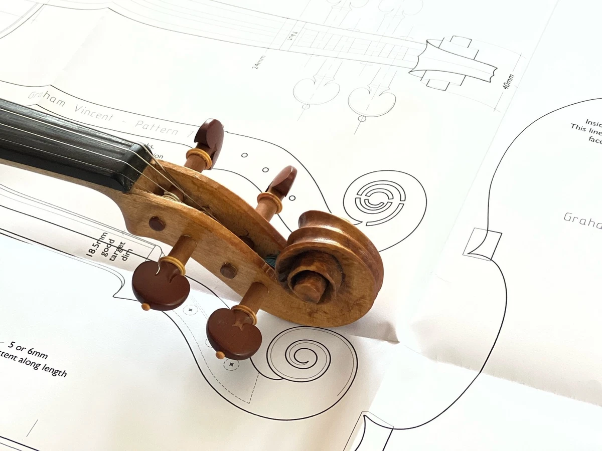 Violin Scroll Drawing