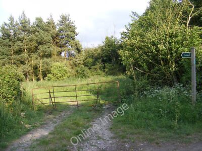 Photo 12x8 Footpath to the B1116 Framlingham Off Peppers ...