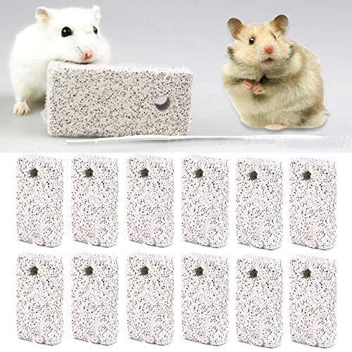 20 Pcs Small Animal Pet Lava Bites Chews Toy Teeth Grinding Block ...