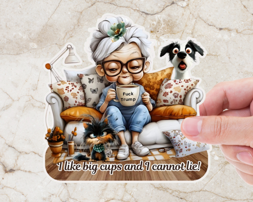 Anti Trump anti MAGA political sticker or magnet | eBay