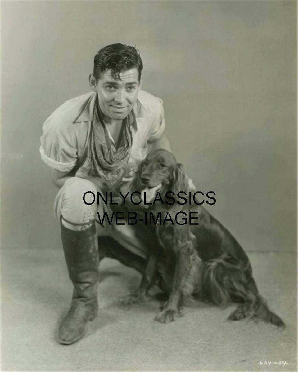 1932 RUGGED CLARK GABLE WITH IRISH SETTER-QUEEN HUNTING DOG RARE PRE ...