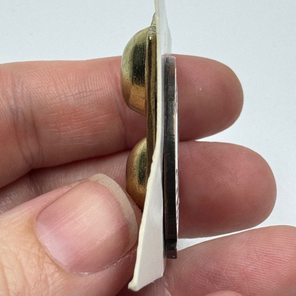 AVMA 10 Years Enamel Lapel Pin Magnet American Veterinary Medical ...