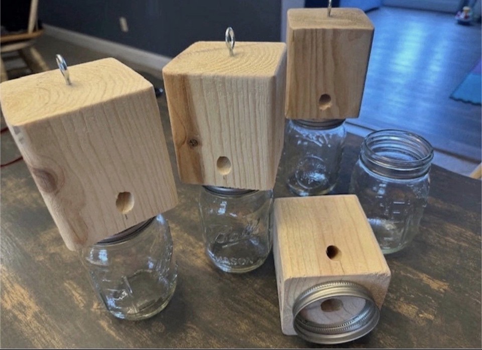 SET OF 4 Carpenter Bee Traps Hand Made SOFT PINE Boring Bee FAST ...
