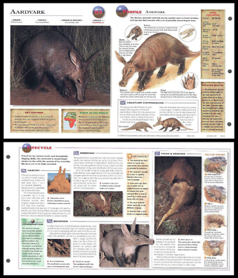 Fold-Out Sheet - Aardvark - 158 | eBay