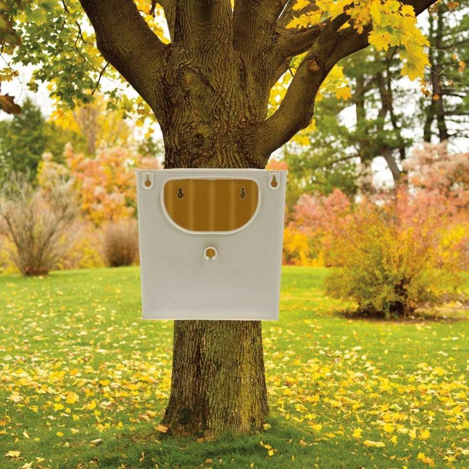 Set of 2 Bird Cages for Parakeets Plastic Finch Nest Boxes Birds | eBay