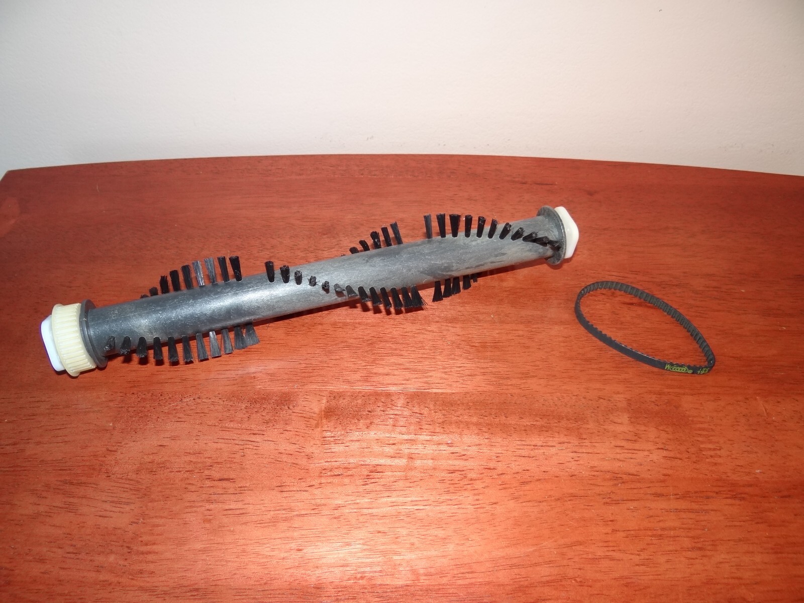 Shark Euro Pro EP619 EP621 Brushroll Beater Bristle Bar w/ Belt ...