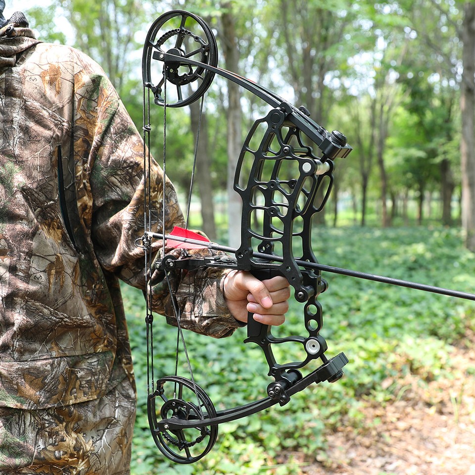 30-60lbs Compound Bow Kit Steel Ball Arrows Dual-use Archery Hunting ...