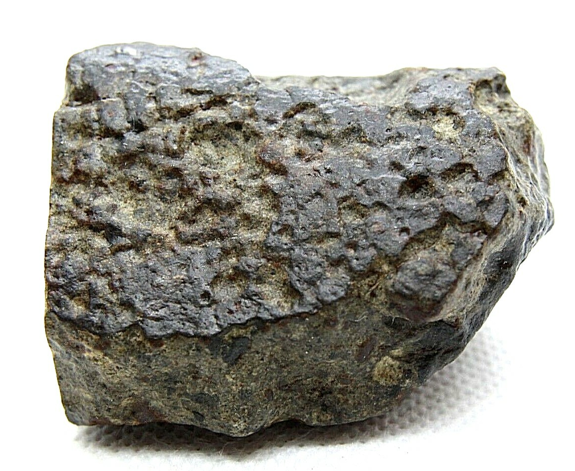 NEA 020 LL4-7 Breccia Chondrite rare Meteorite 119 Gram main mass ...