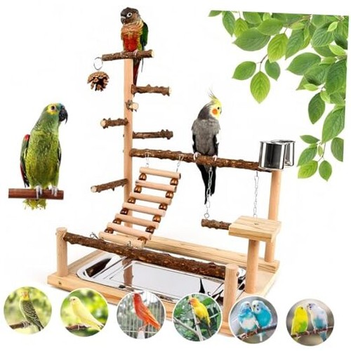 Natural Wood Bird Play Stands for Cockatiel - Parrot Perch Stand with ...